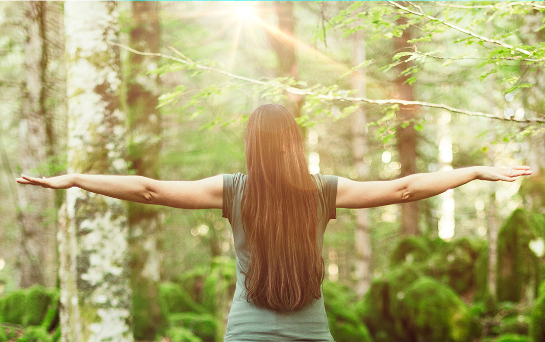 Vivir como si la naturaleza importara: la ecología profunda – mundonuevo.cl