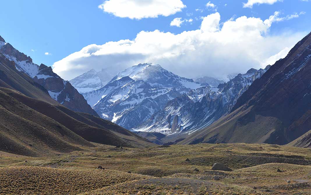 Reforestar los Andes para retener y regular el agua de las lluvias ...