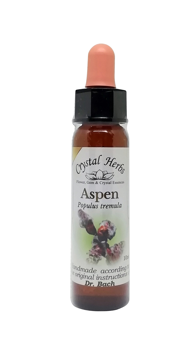 Aspen, Flor de la visión – mundonuevo.cl