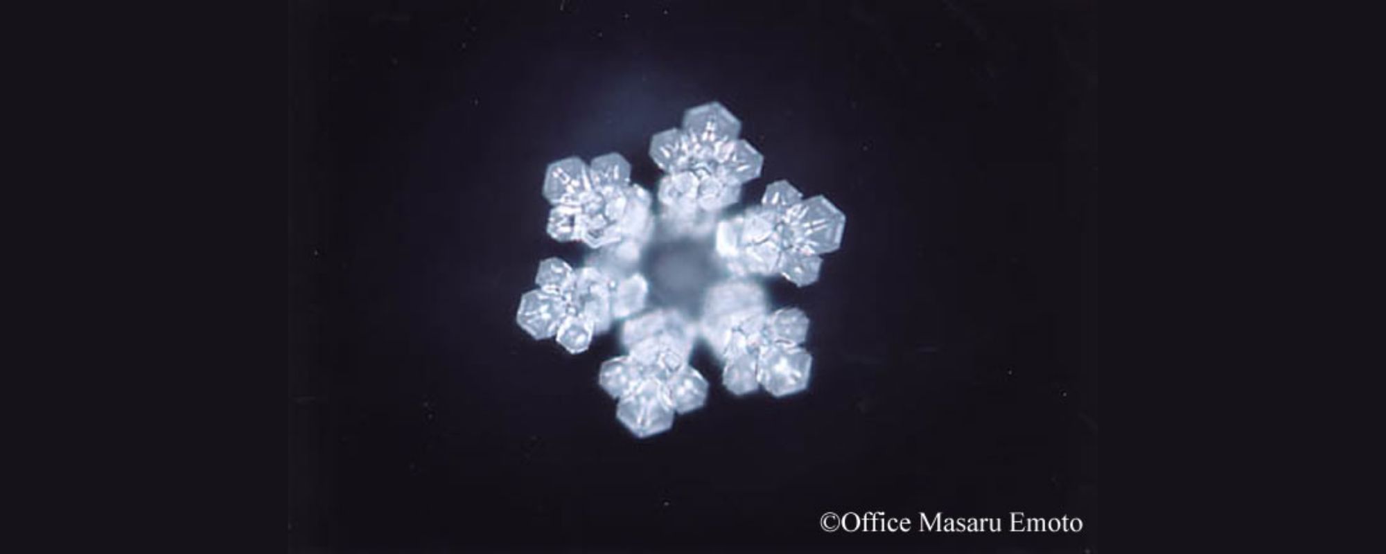 Las formas del agua – mundonuevo.cl